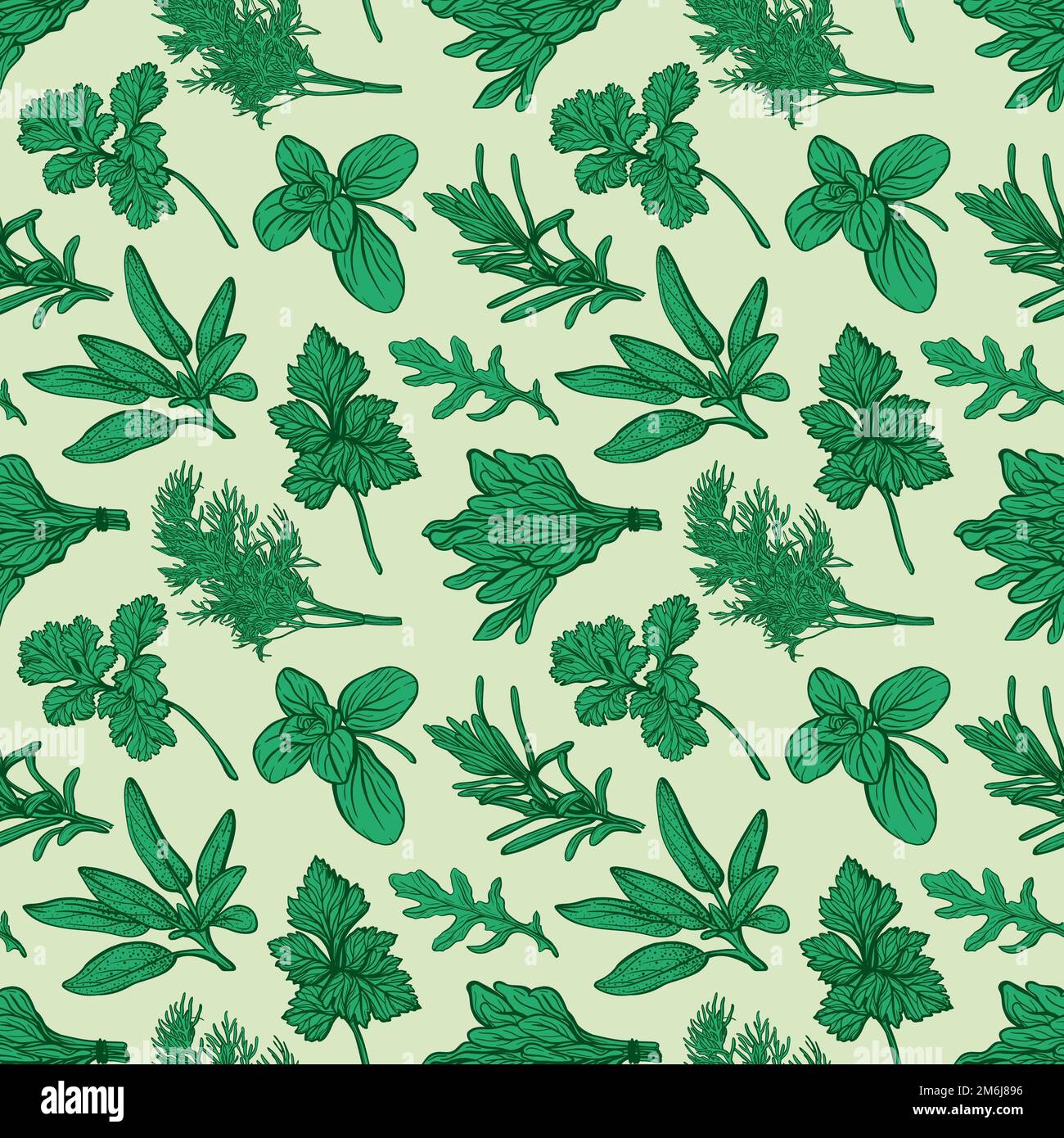 Italian herbs pattern. Provencal herbs pattern Stock Photo - Alamy