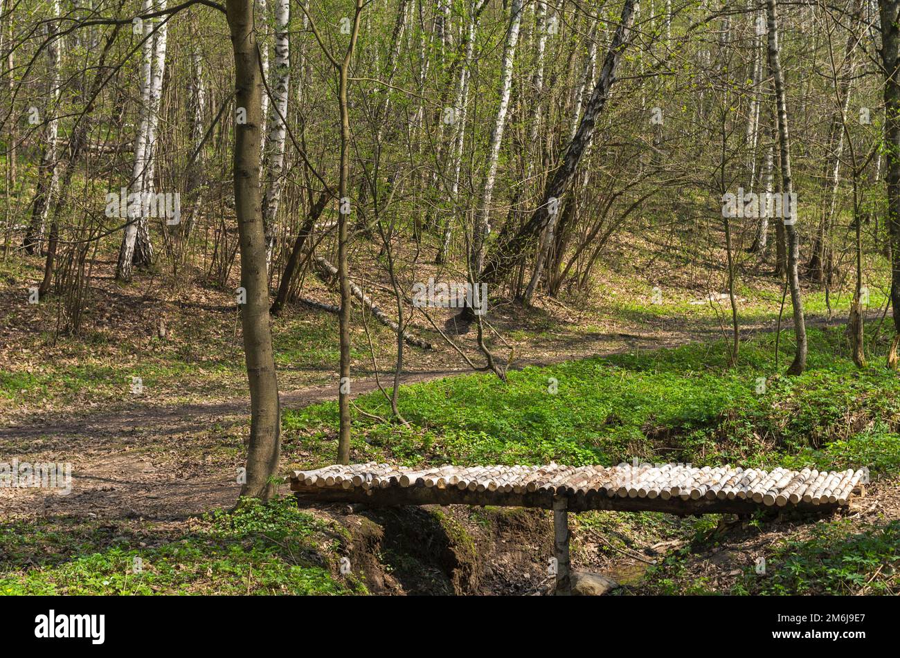 Little bridge over the stream Stock Photo - Alamy