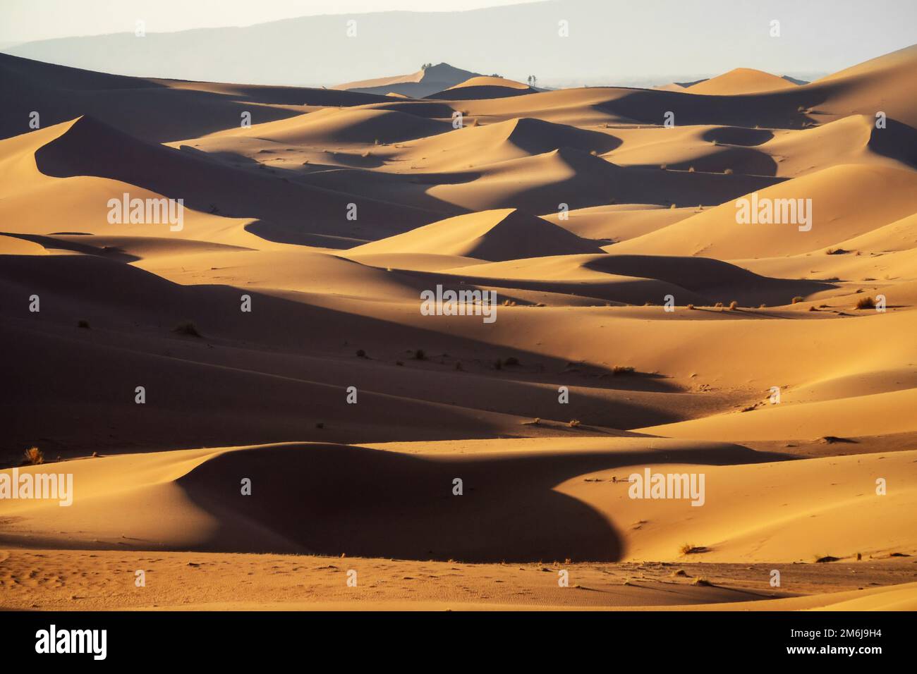 Background with sandy dunes in desert Stock Photo - Alamy