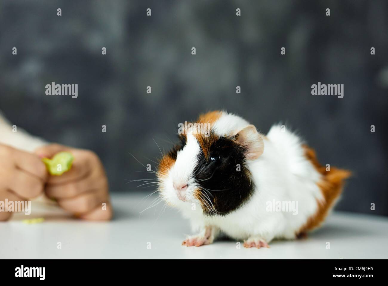 Child feed hi-res stock photography and images - Alamy