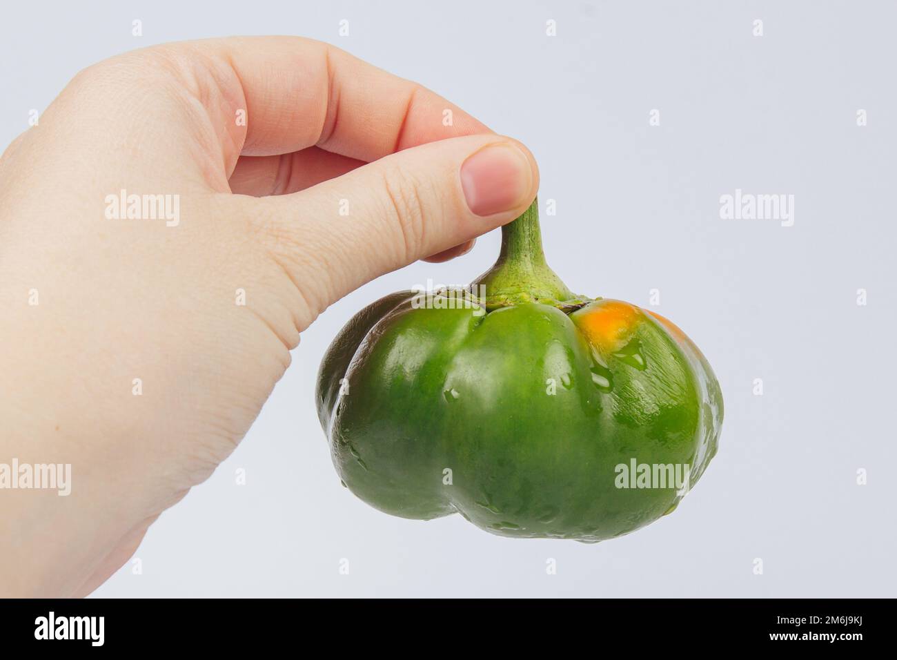 Red, green and yellow peppers in the store. Female hands pick and take ...