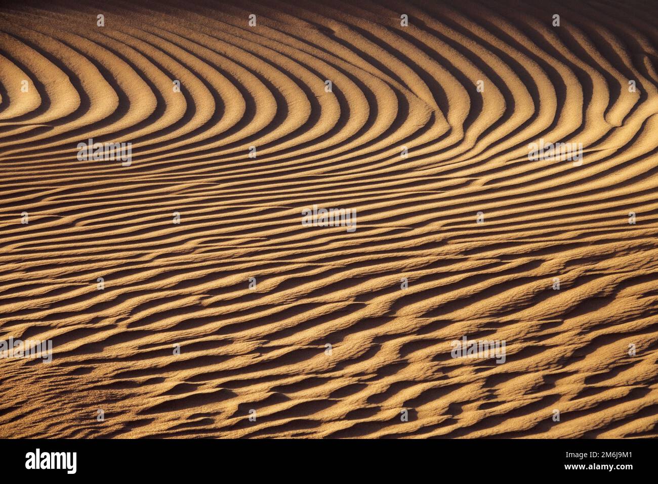 Beautiful sand dune pattern in wind Stock Photo - Alamy