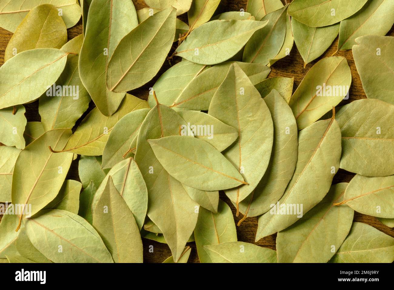 Dry bay leaves texture. Laurel leaf background Stock Photo - Alamy