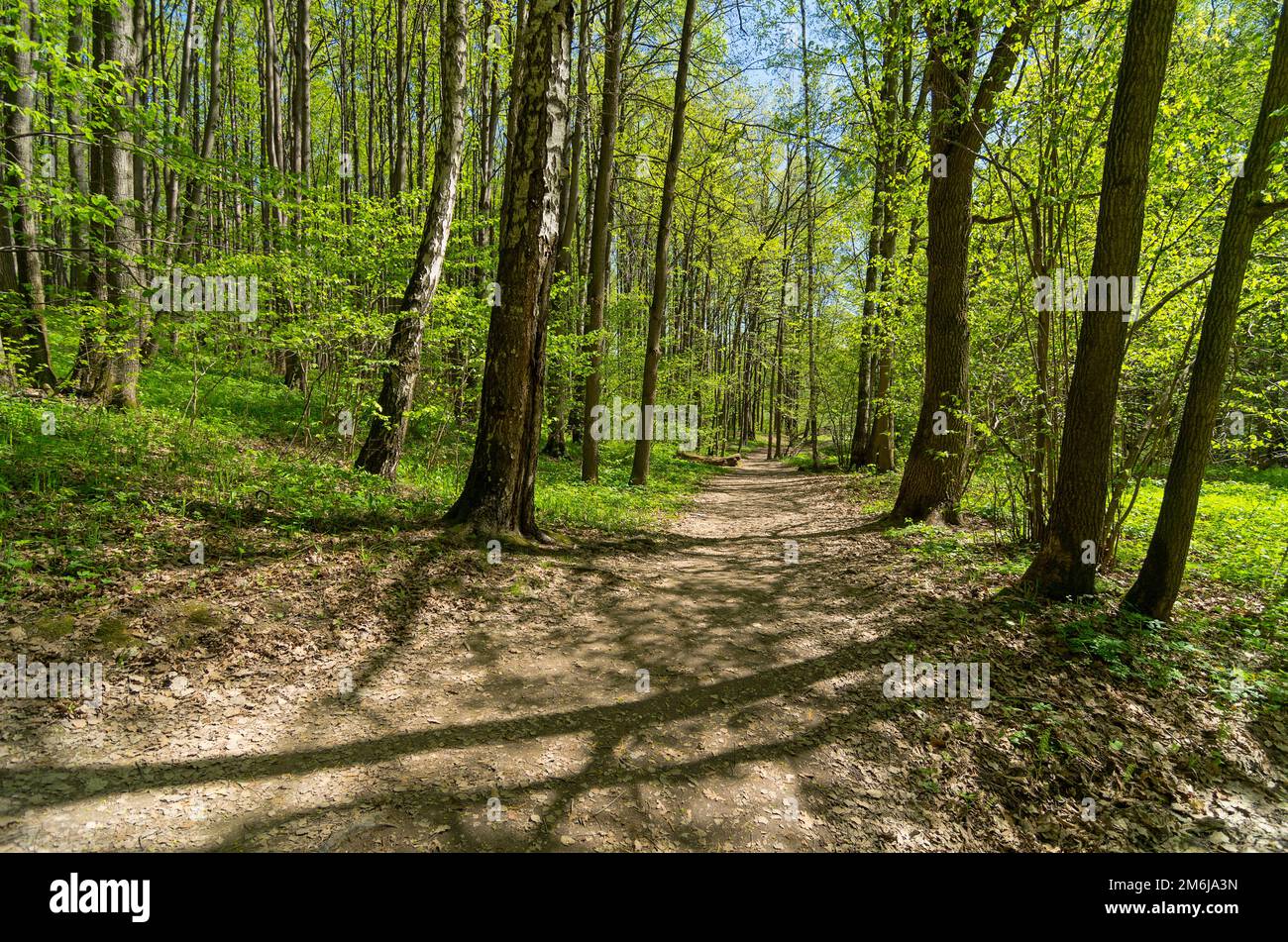 Scenic spring pathway hi-res stock photography and images - Alamy