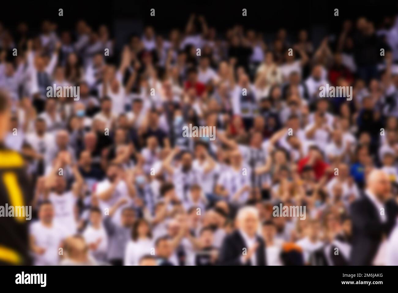 Blurred supporters crowd in a basketball court during game Stock Photo ...