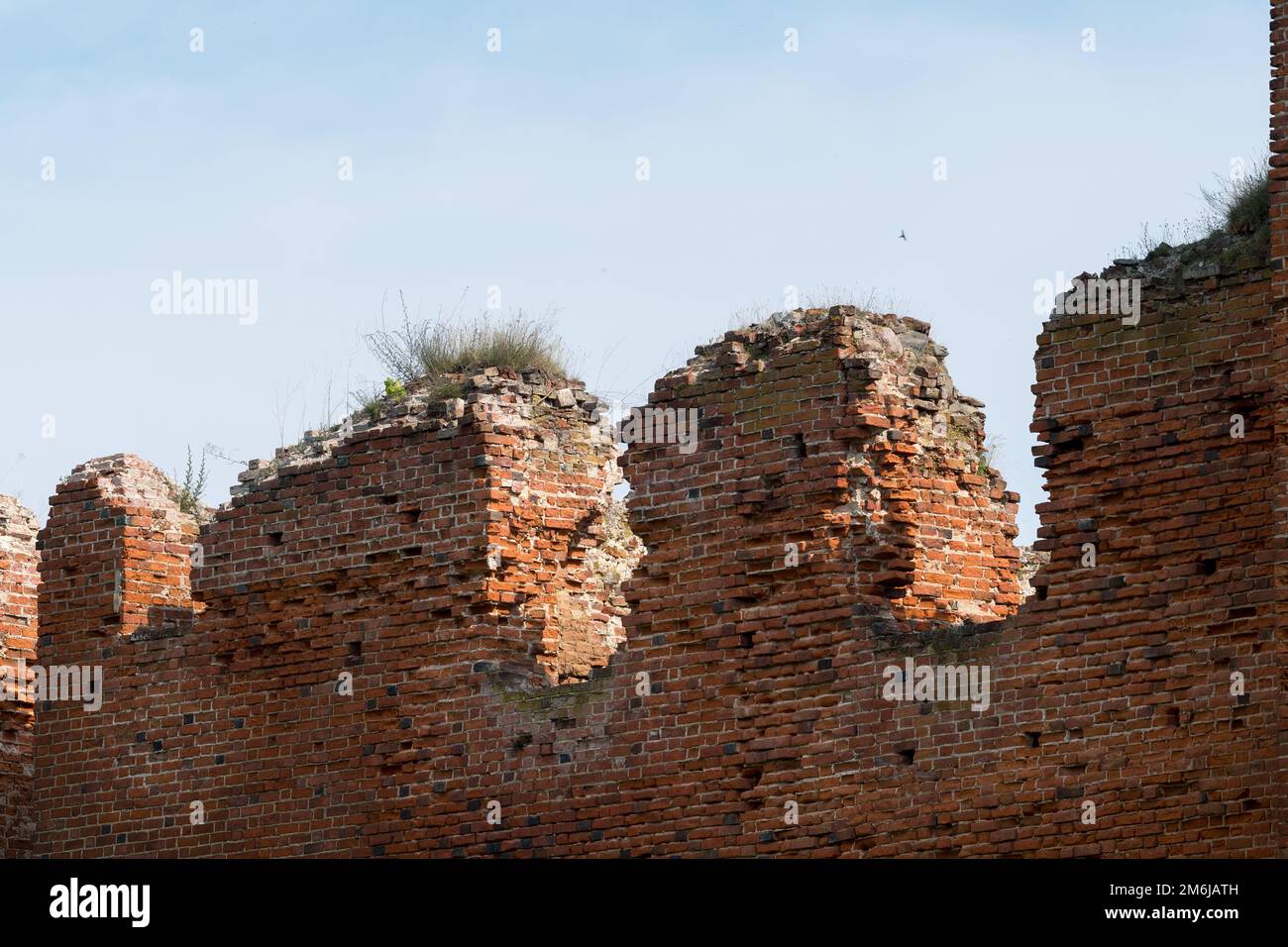 Ruins of the Gothic Szymbark castle in Szymbark, Poland © Wojciech ...
