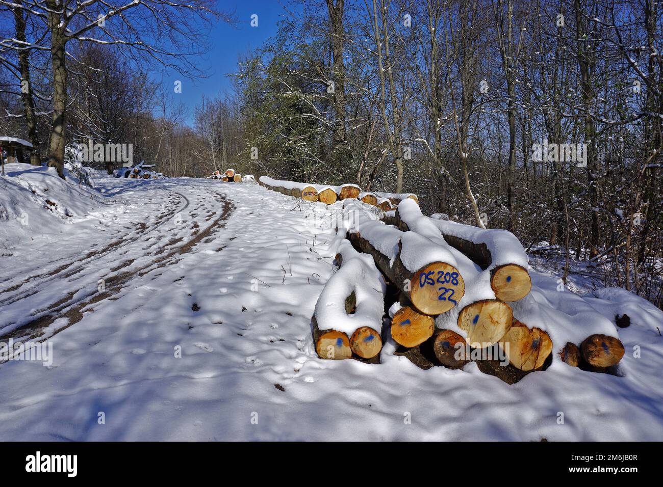 Piles of wood in the snow hi-res stock photography and images - Alamy
