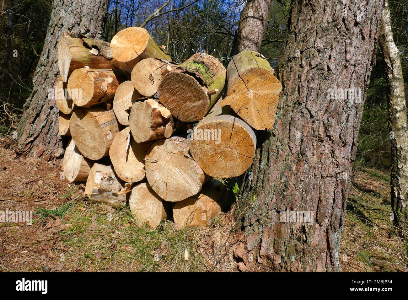 Fa llarbeiten hi-res stock photography and images - Alamy