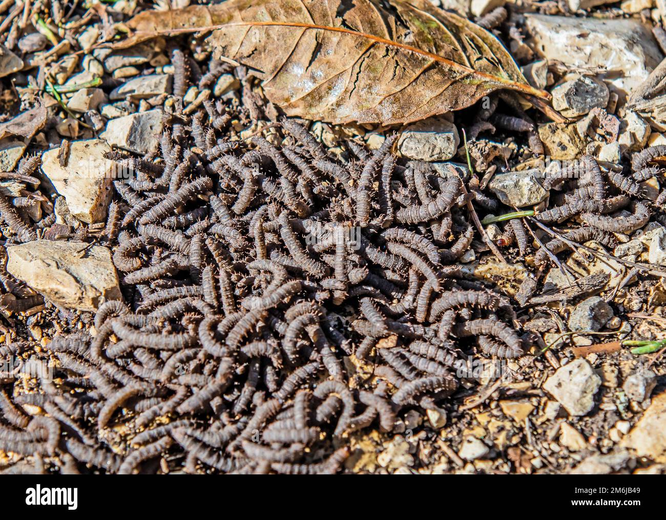Ma st marks hi-res stock photography and images - Alamy