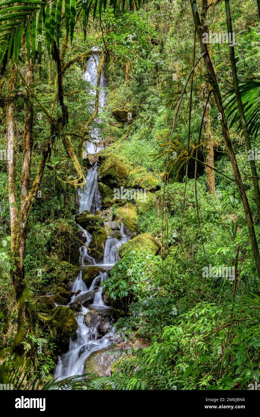 Small wild mountain river waterfall. San Gerardo de Dota, Costa Rica ...