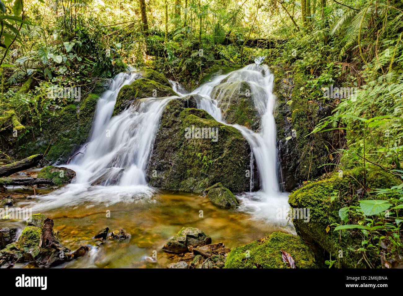 Small wild mountain river waterfall. San Gerardo de Dota, Costa Rica ...