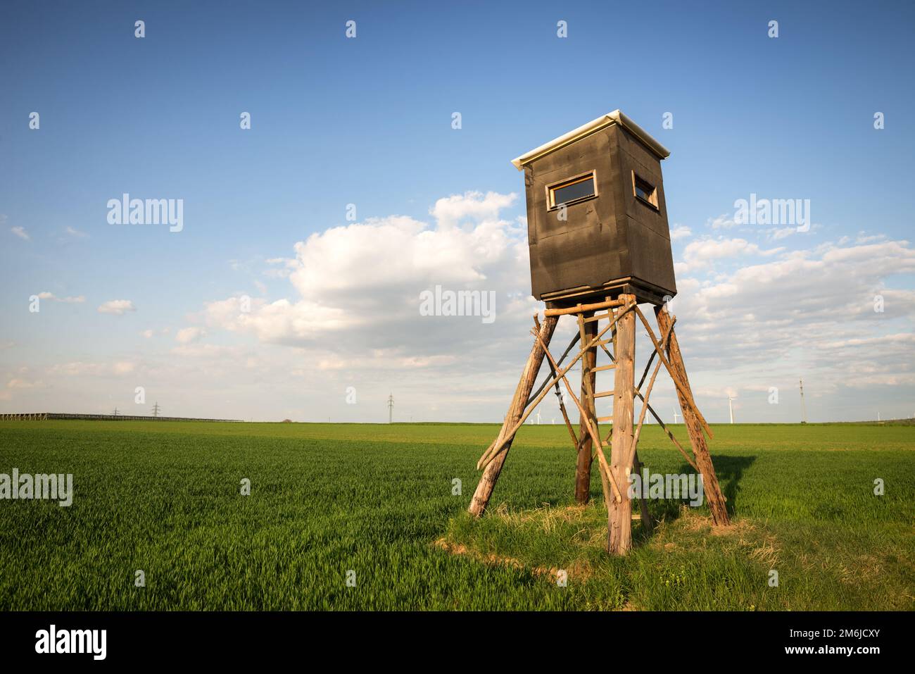 Tree stand , open platforms used by hunters Stock Photo - Alamy