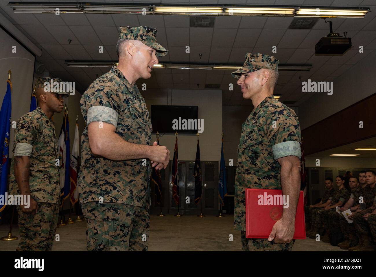 Seargentmajor hi-res stock photography and images - Alamy