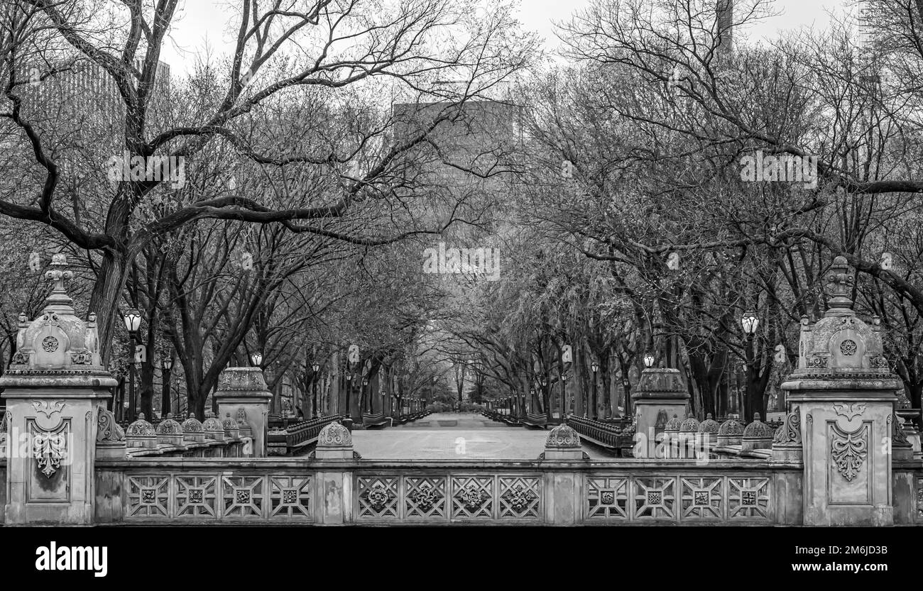 Central park, new york city spring Black and White Stock Photos ...