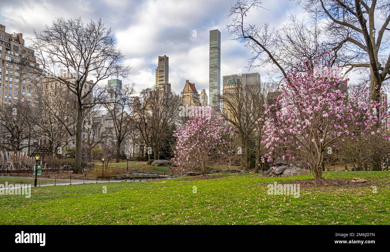 Spring in Central Park, New York City Stock Photo - Alamy