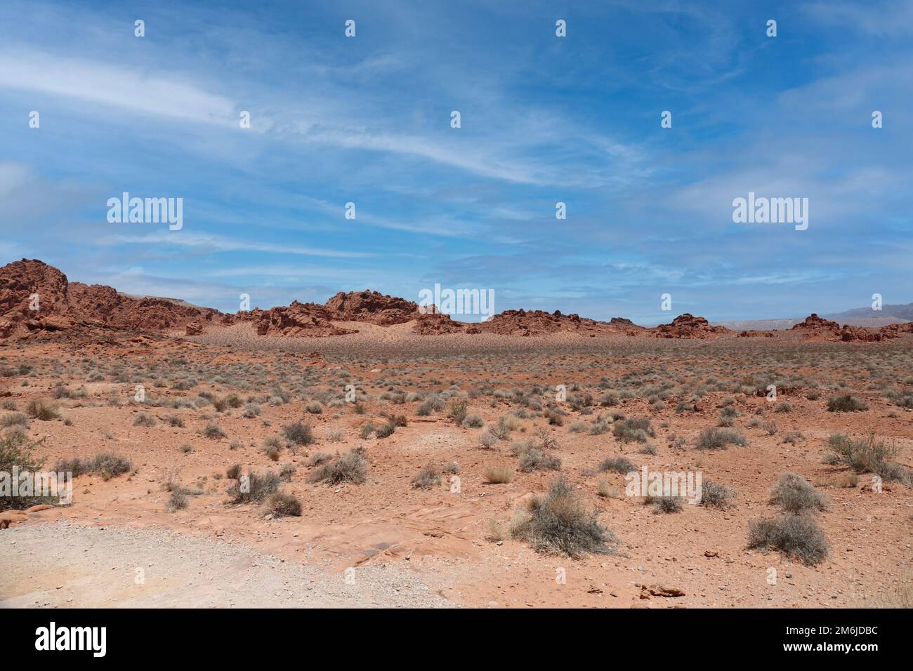 Scrub brush desert hi-res stock photography and images - Alamy