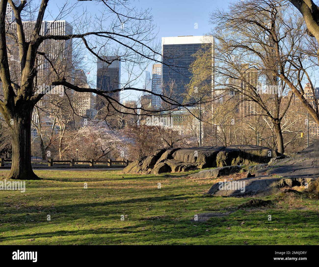 Spring in Central Park, New York City Stock Photo - Alamy