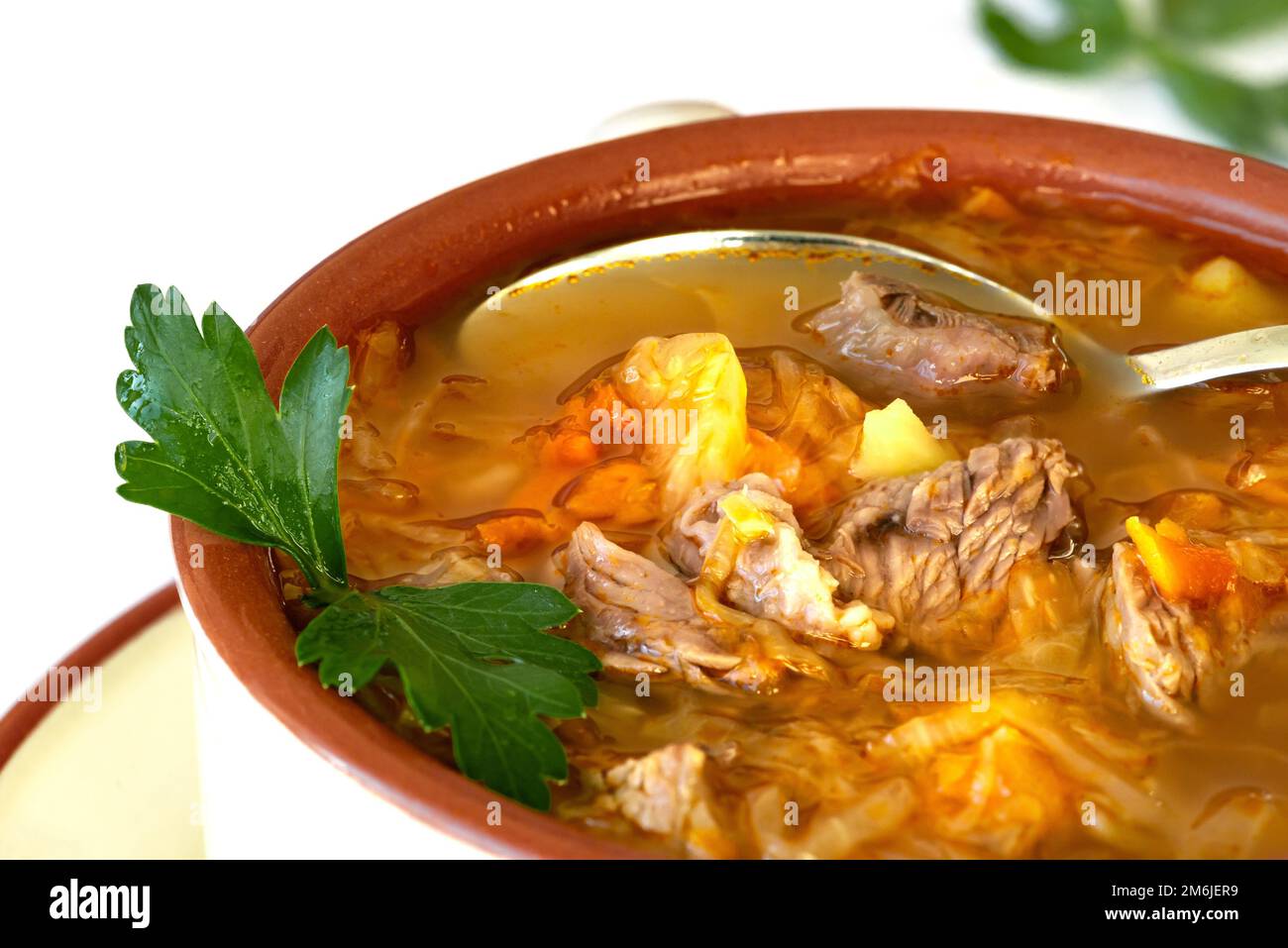 Slow cooked cabbage is the base of the traditional Russian shchi spoon ...