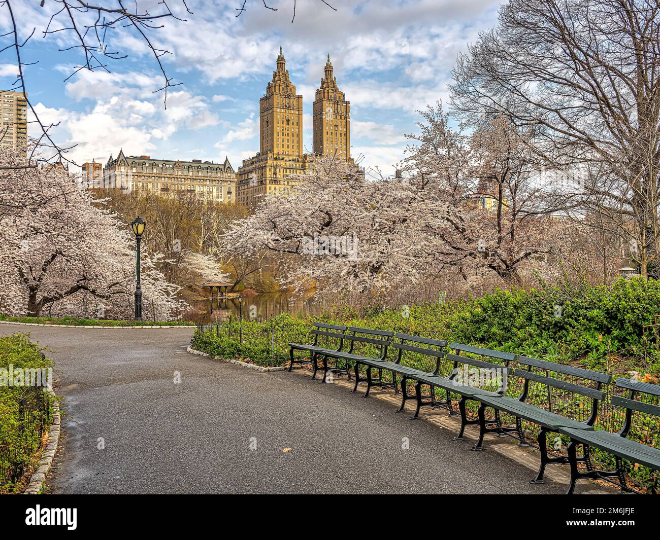 Spring in Central Park, New York City Stock Photo - Alamy