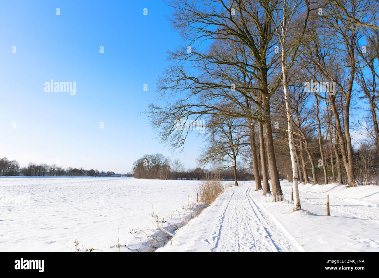 Winter landscape Diever in the Netherlands with snow Stock Photo - Alamy