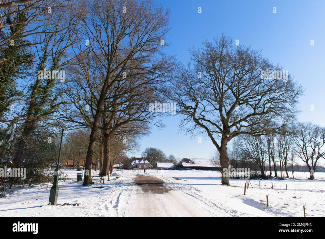 Dutch agriculture winter landscape with snow Stock Photo - Alamy