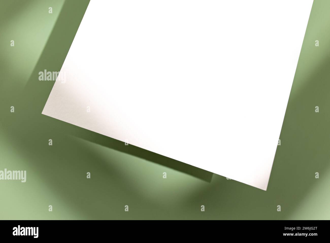 Template paper with shadow on pastel green background , great design ...