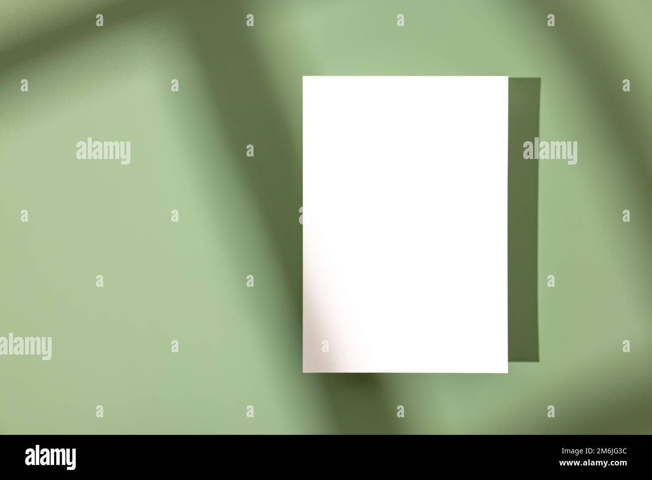 Template paper with shadow on pastel green background , great design ...