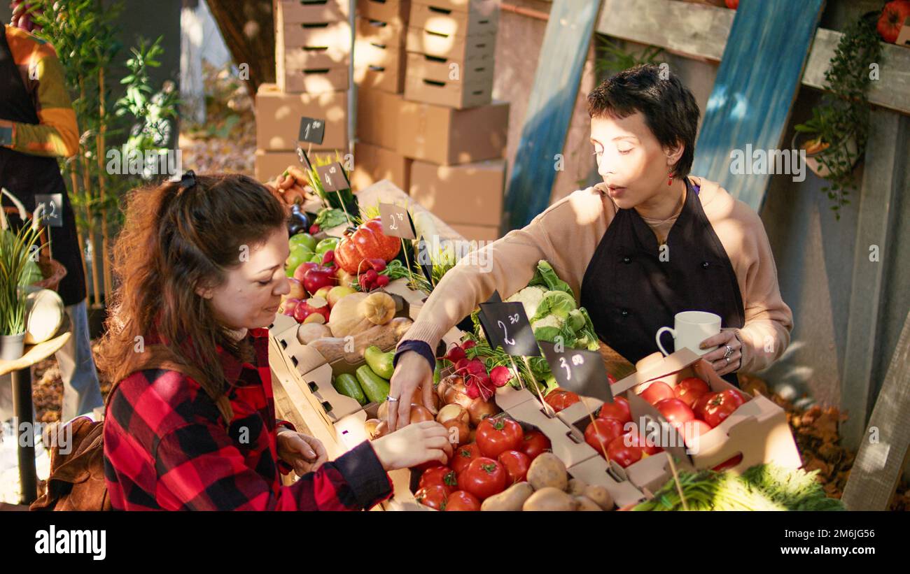 Cheerful women talking about locally grown produce, client buying natural fruits and vegetables ...