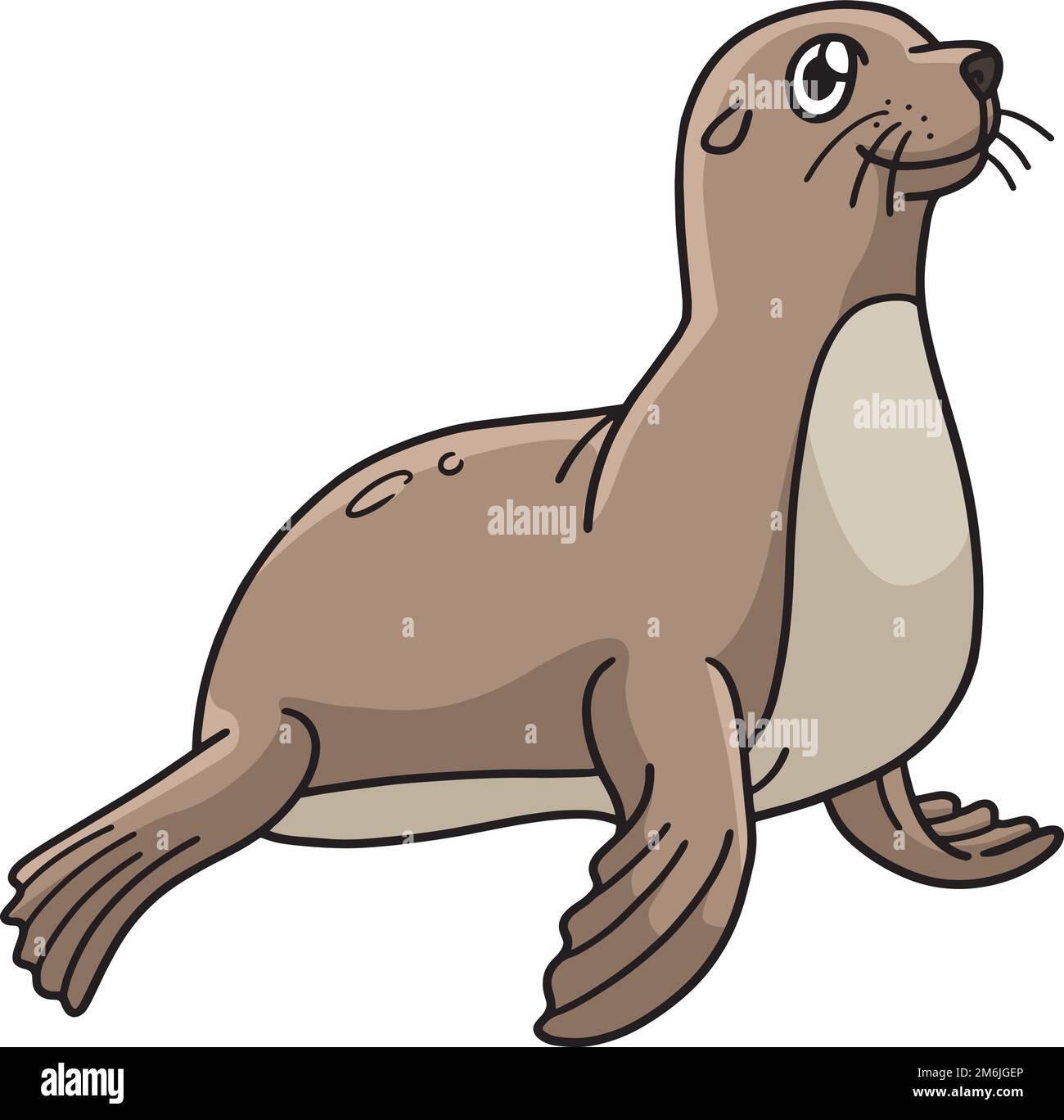 Arctic Seal Clipart