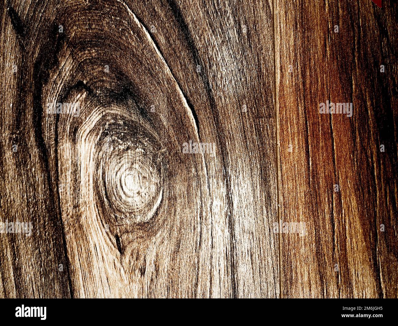 Wood texture background, laminate flooring as construction material and ...
