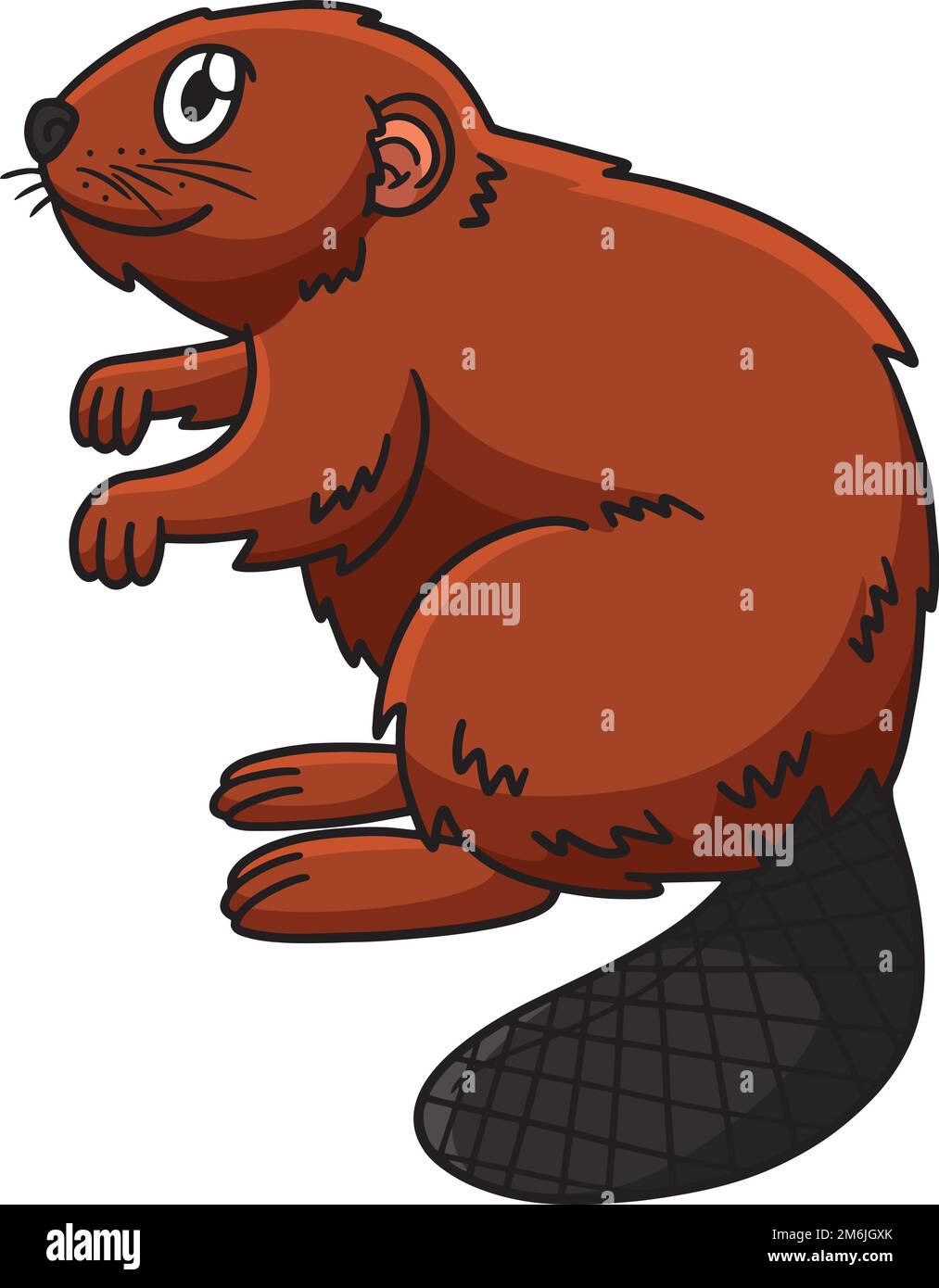 Beaver clipart hi-res stock photography and images - Alamy