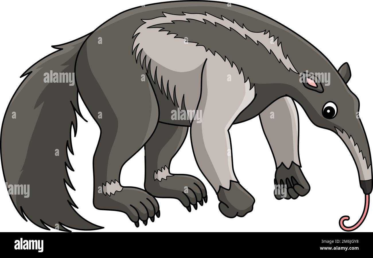 Giant Anteater Animal Cartoon Colored Clipart Stock Vector Image & Art - Alamy
