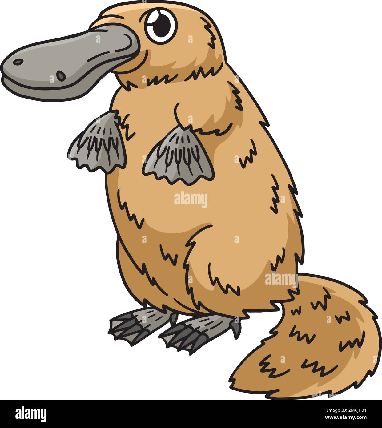 Platypus Marine Animal Cartoon Colored Clipart Stock Vector Image & Art ...