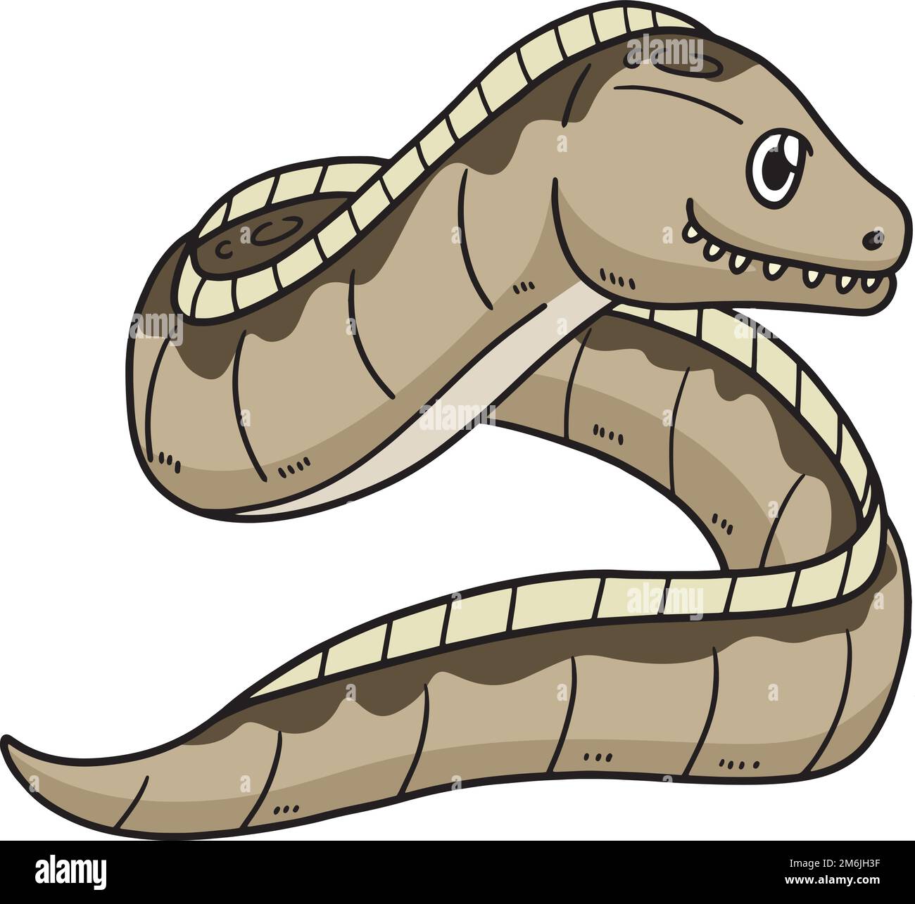 Eel Marine Animal Cartoon Colored Clipart Stock Vector Image & Art - Alamy