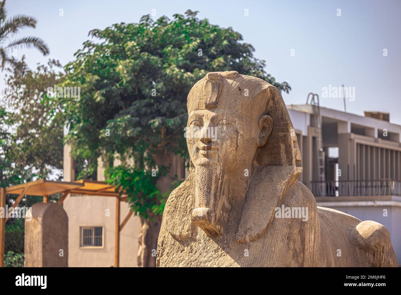 Memphis, Egypt - November 14, 2021: Sphinx Statue of Queen Hatshepsut ...