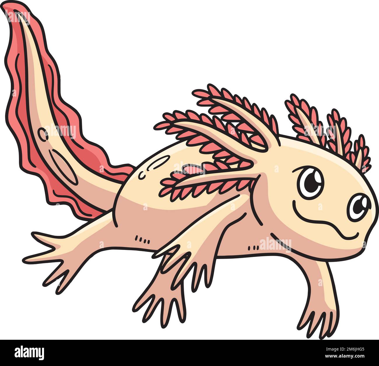 Cartoon salamander hi-res stock photography and images - Alamy