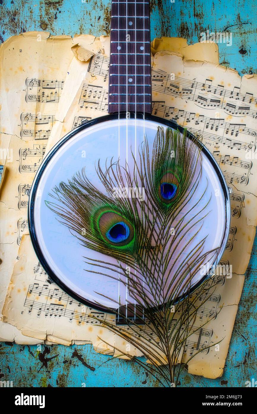 Banjo And Peacock Feathers Stock Photo - Alamy