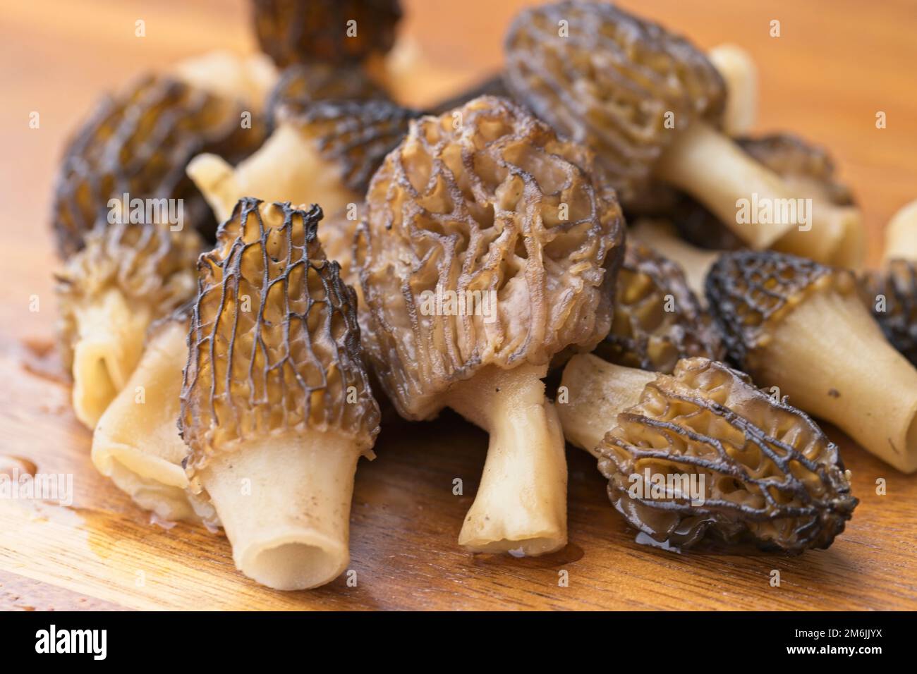 Fungal stack hi-res stock photography and images - Alamy