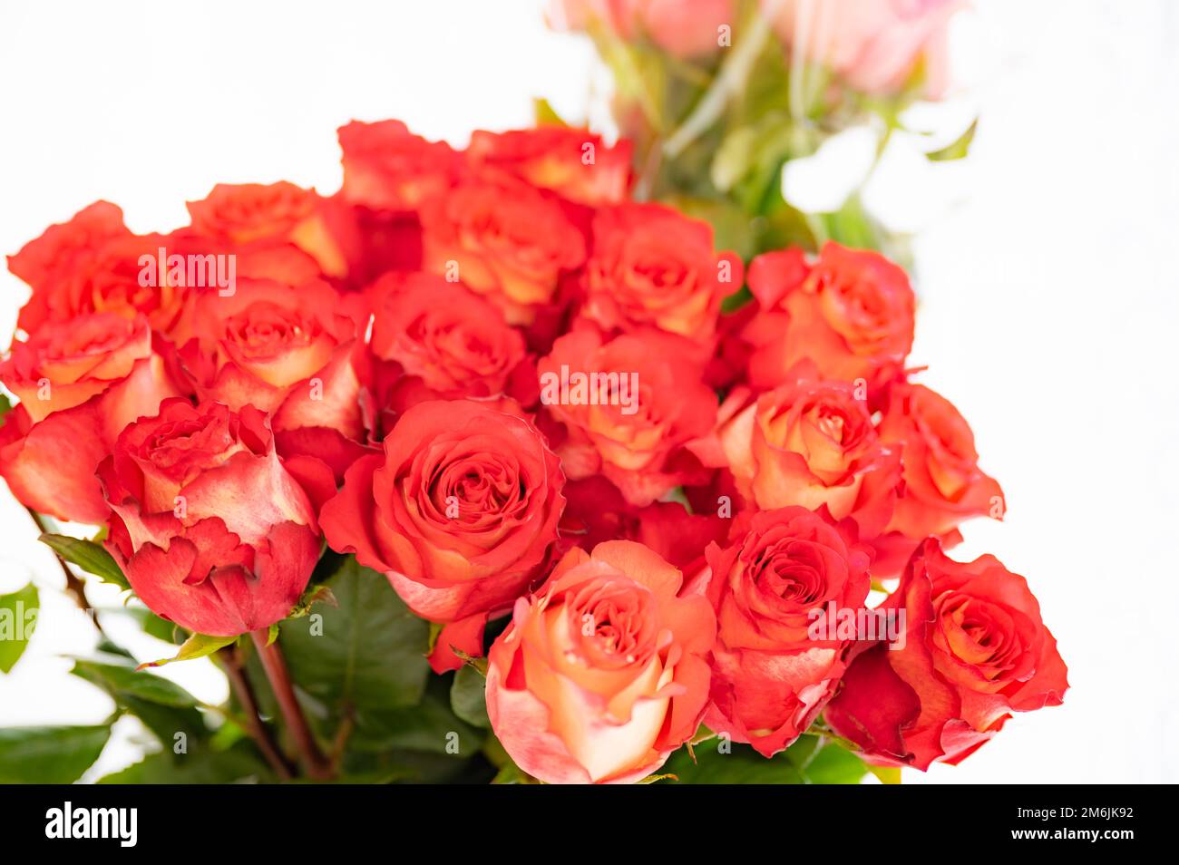 Bouquet of red roses Stock Photo - Alamy