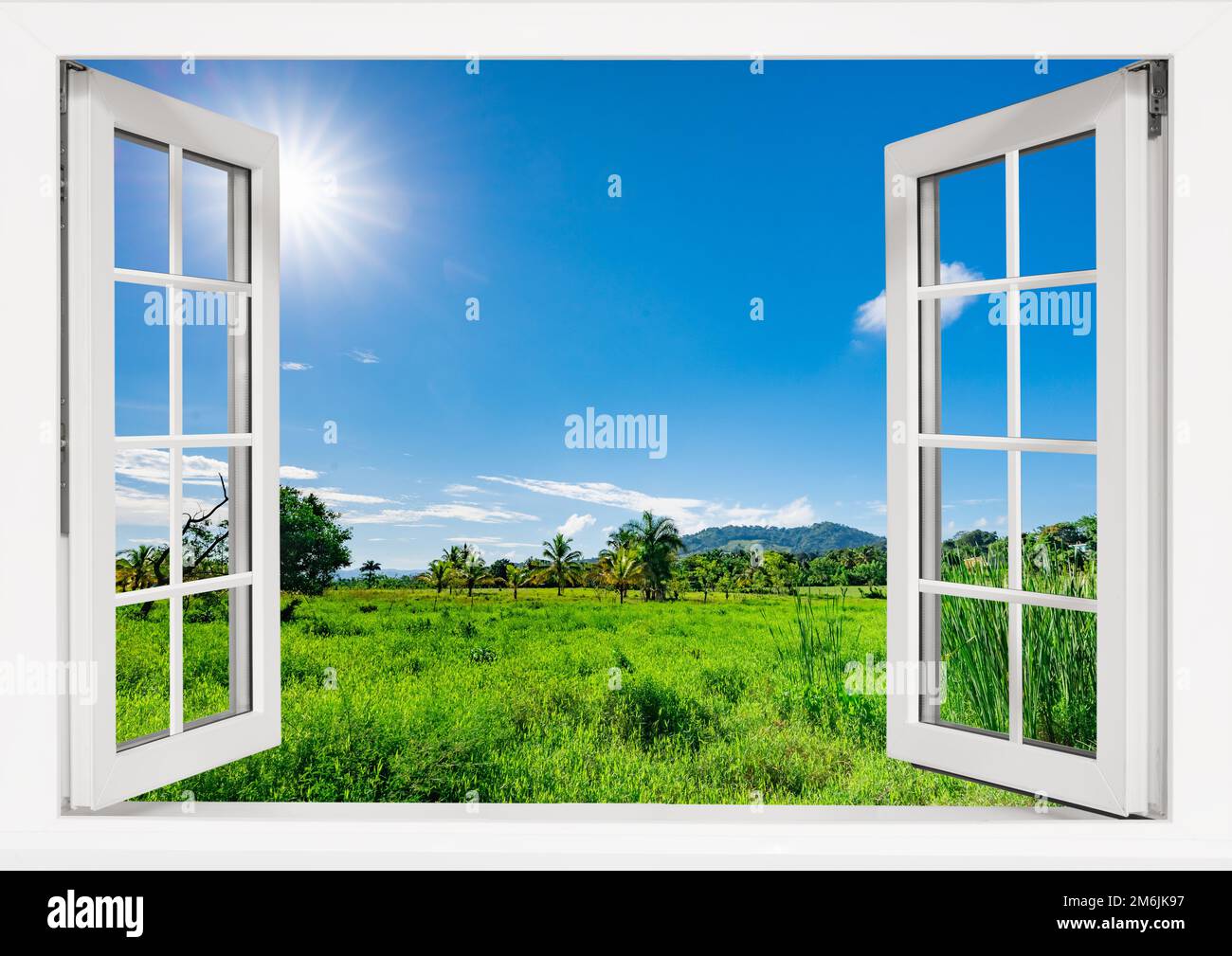 View from an open window to the jungle Stock Photo - Alamy