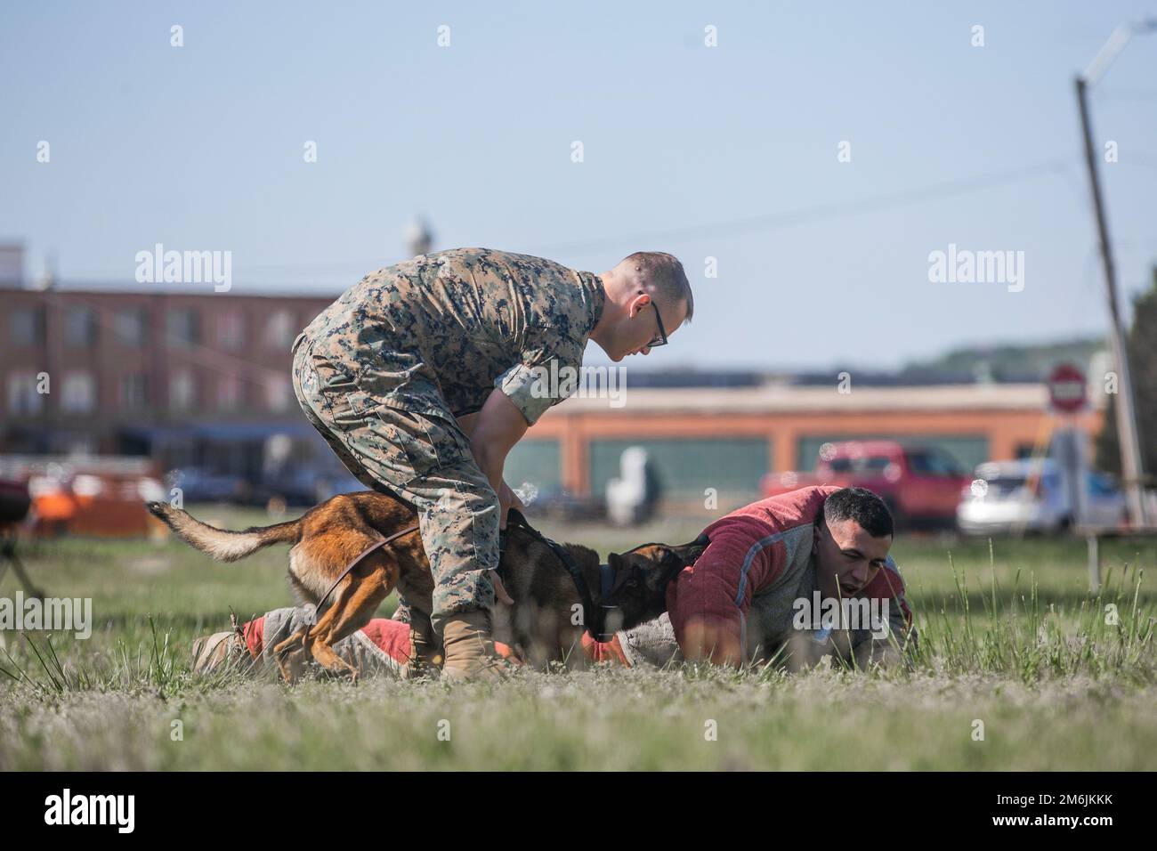 Usmc mwd hi-res stock photography and images - Alamy