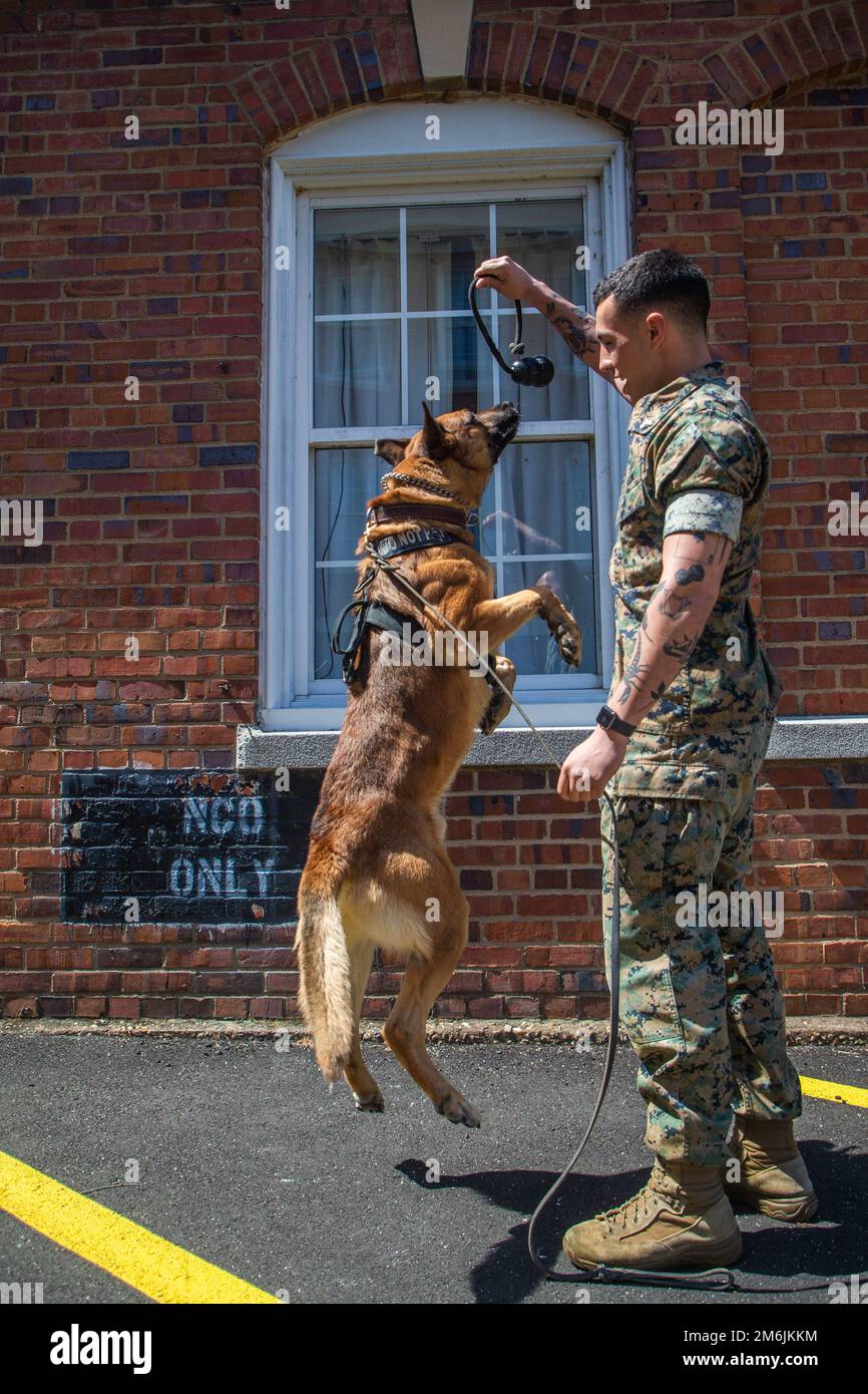U s marshal help hi-res stock photography and images - Alamy