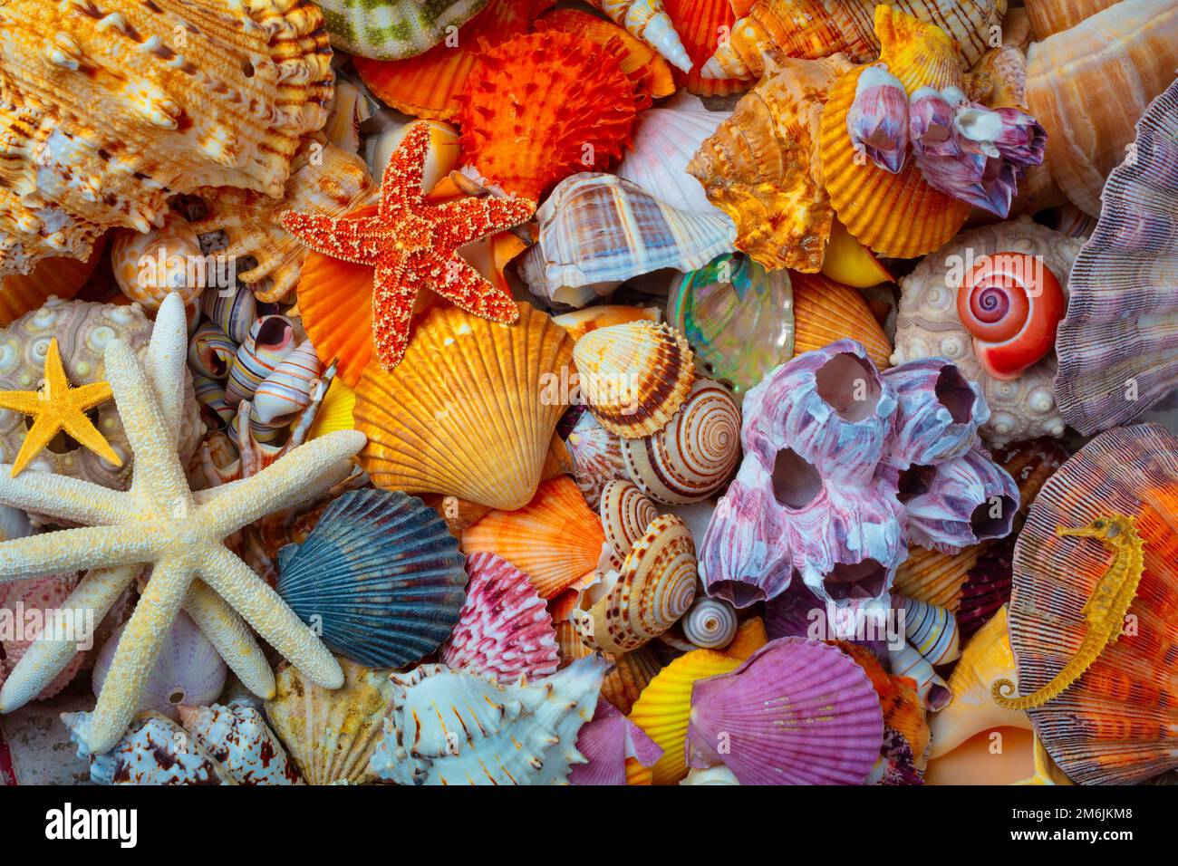 Special treasures hi-res stock photography and images - Alamy