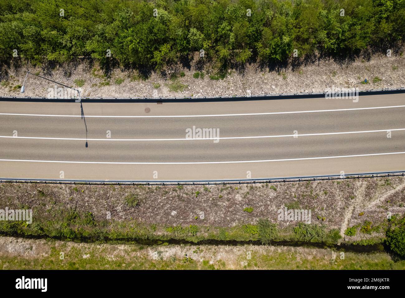 Biggest Forests In The World Forestta