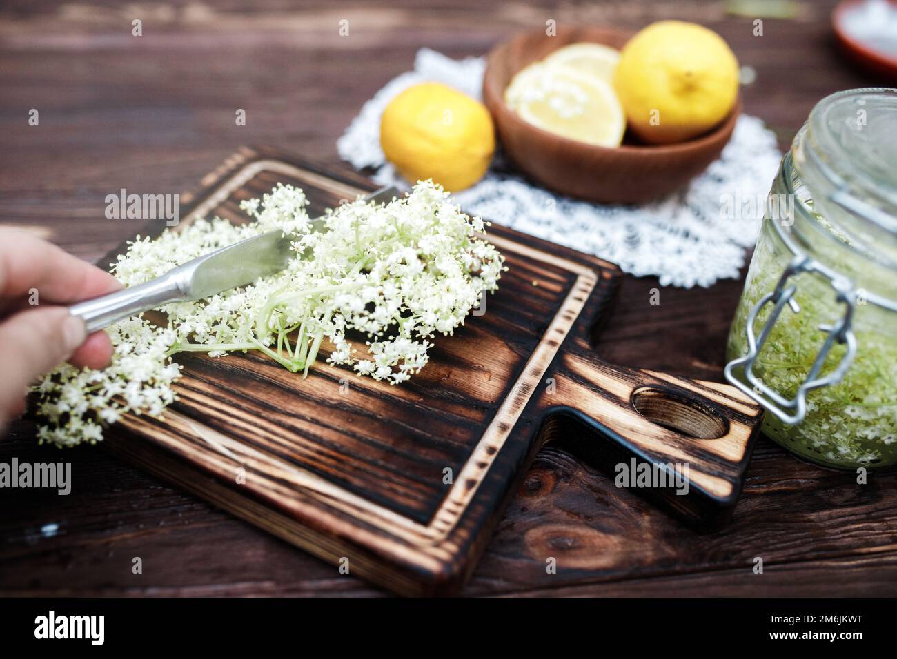 Cutting elderberry inflorescences to prepare phytomedicine preparations ...