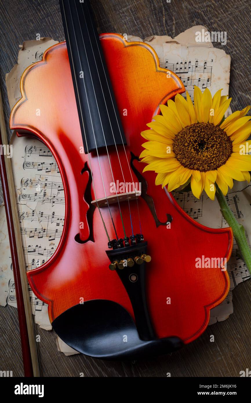 Summer Sunflower And Baroque Violin Still Life Stock Photo - Alamy