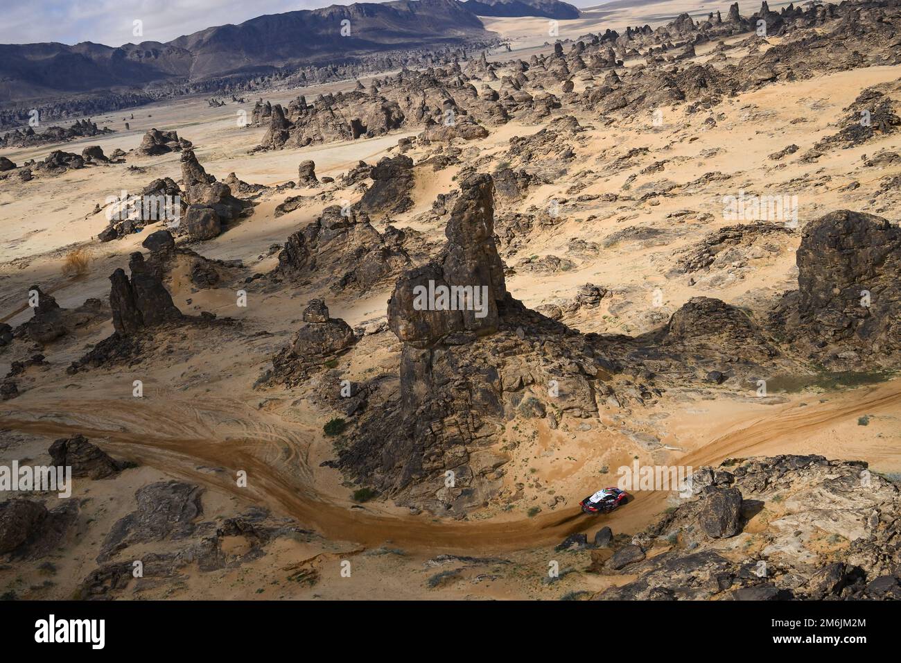 216 BARAGWANATH Brian (zaf), CREMER Leonard (zaf), Century Racing ...