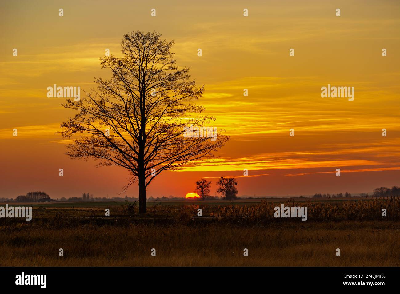 Large beautiful orange color sunset hi-res stock photography and images ...