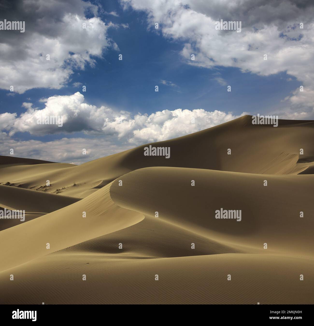 Big sand dune in Sahara desert Stock Photo - Alamy