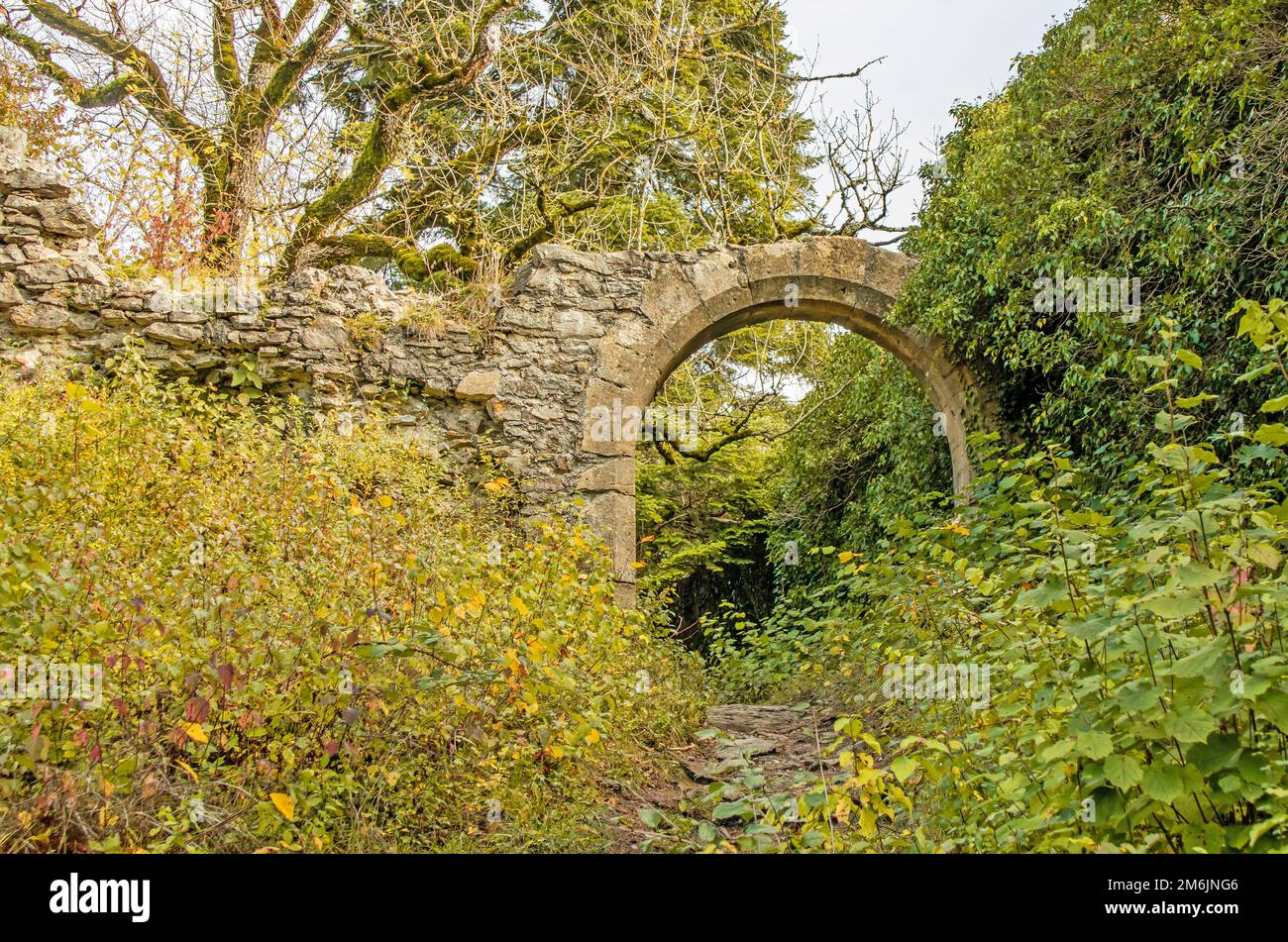 Castle ruin MÃ¤gdeberg, MÃ¼hlhausen-Ehingen, in the Hegau area Stock ...